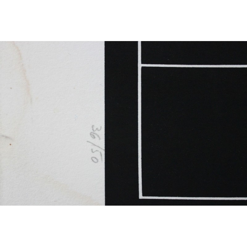 DIPINTO LITOGRAFICO BY RENATO VOLPINI - Marco Polo - Antiques online